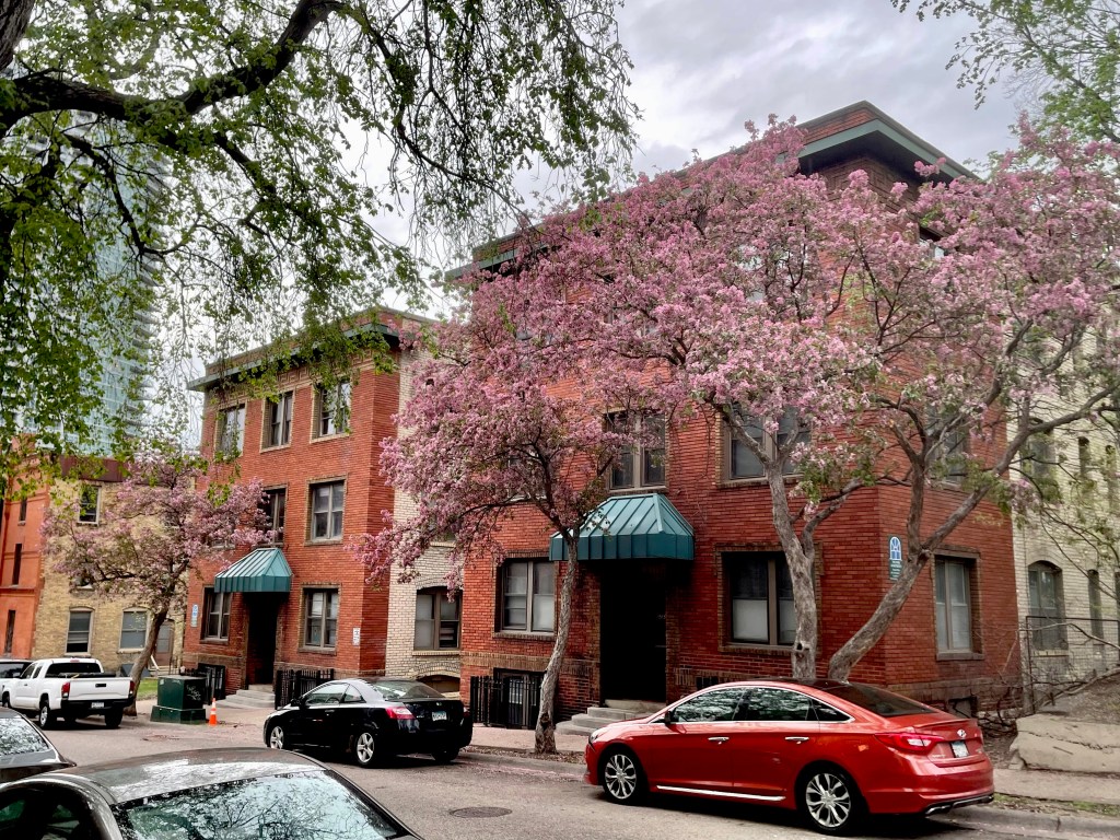 Mayor Frey highlights report on affordable housing - Daily Planet