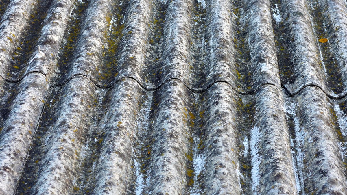 4 precautions professionals take to safely remove asbestos - Daily Planet